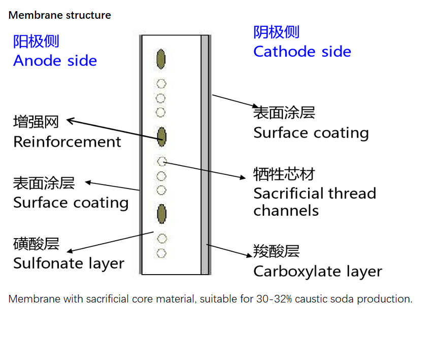 Ion Exchange Membrane for Production of Chlorine and Caustic Chlor ...